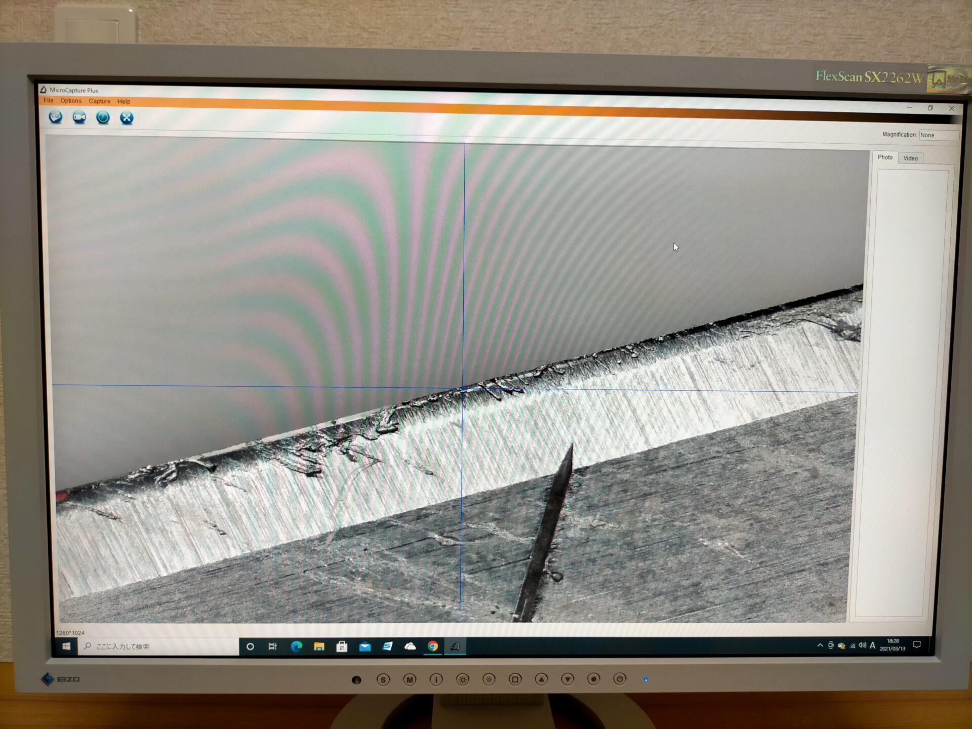 マイクロスコープ家庭用おすすめ、観察画像付きレビュー（頭皮・チャタテムシ・他） | もの修理